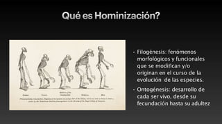 caracteristicas de los hechos que llevan al hominido a l proceso de ...
