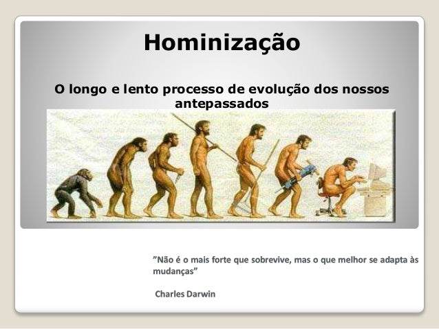 Hominização