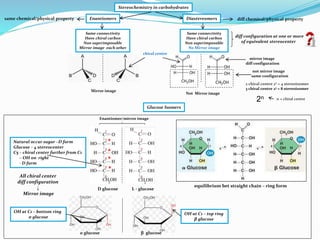 Option B Stereochemistry Carbohydrates, Protein, Lipid, Vitamin and ...