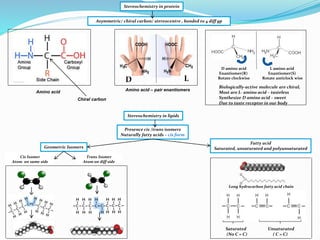 Option B Stereochemistry Carbohydrates, Protein, Lipid, Vitamin and ...