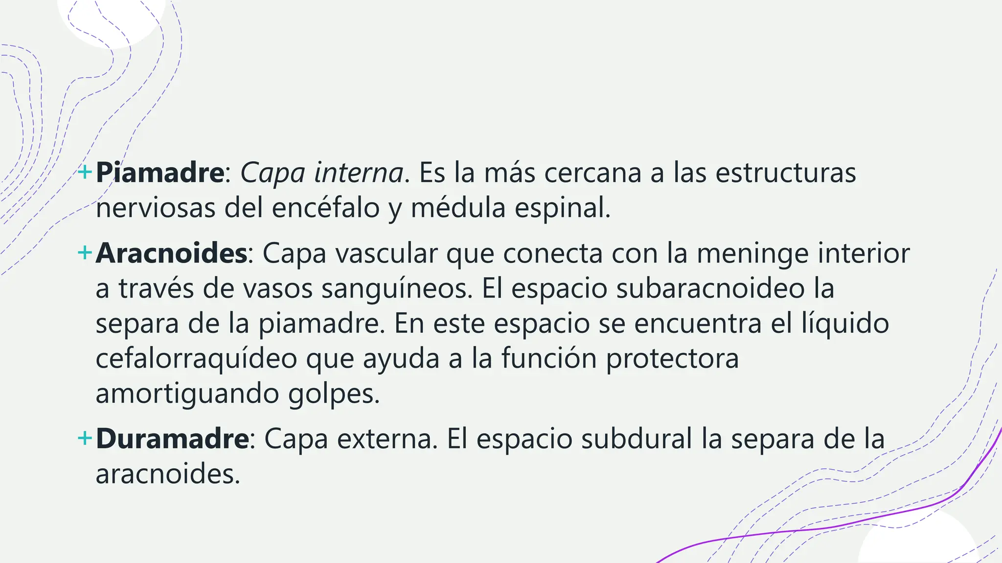 Homúnculo cortical o de Penfield. corteza motora y somatosensorial.pptx