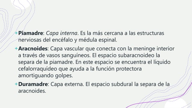 Homúnculo cortical o de Penfield. corteza motora y somatosensorial.pptx