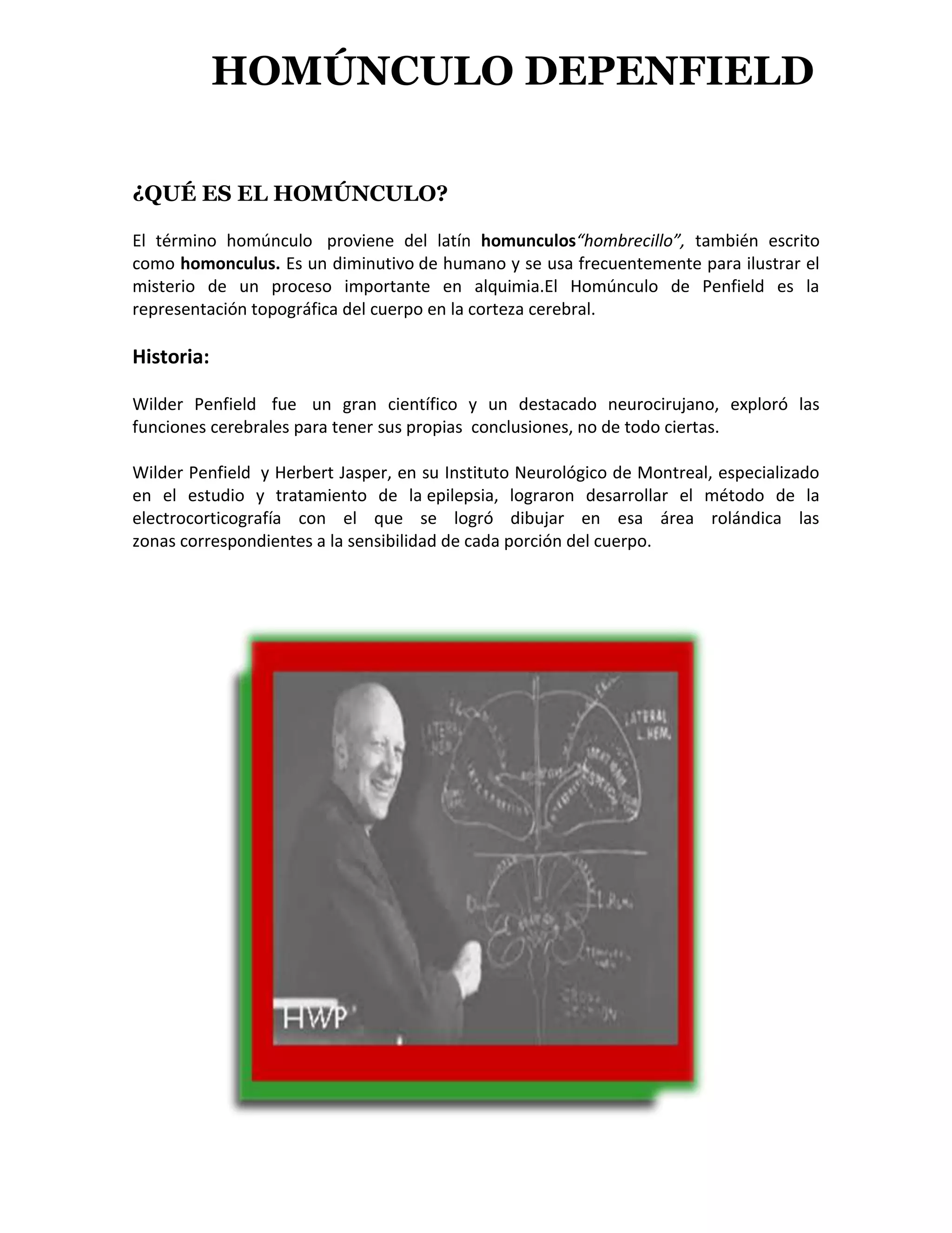Homúnculo de penfield | DOCX