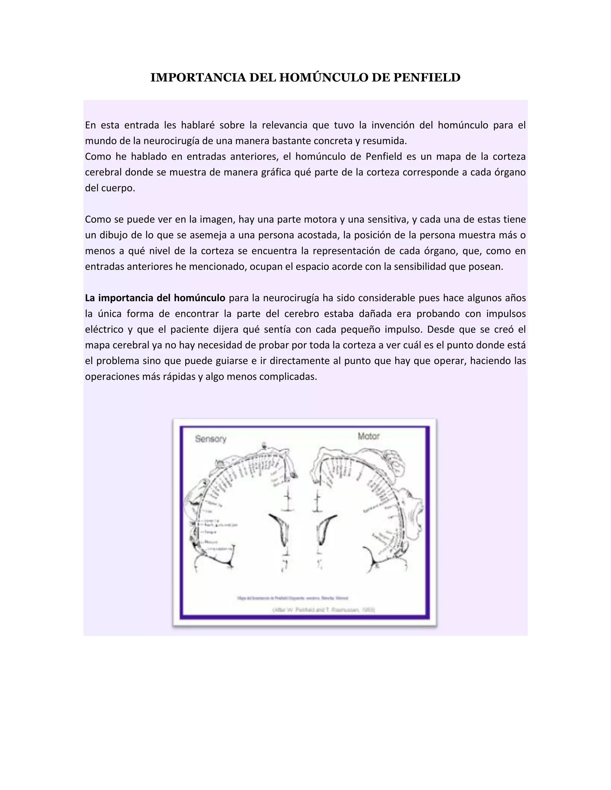 Homúnculo de penfield | DOCX