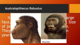 homo.pptx | Large Animals | Pets