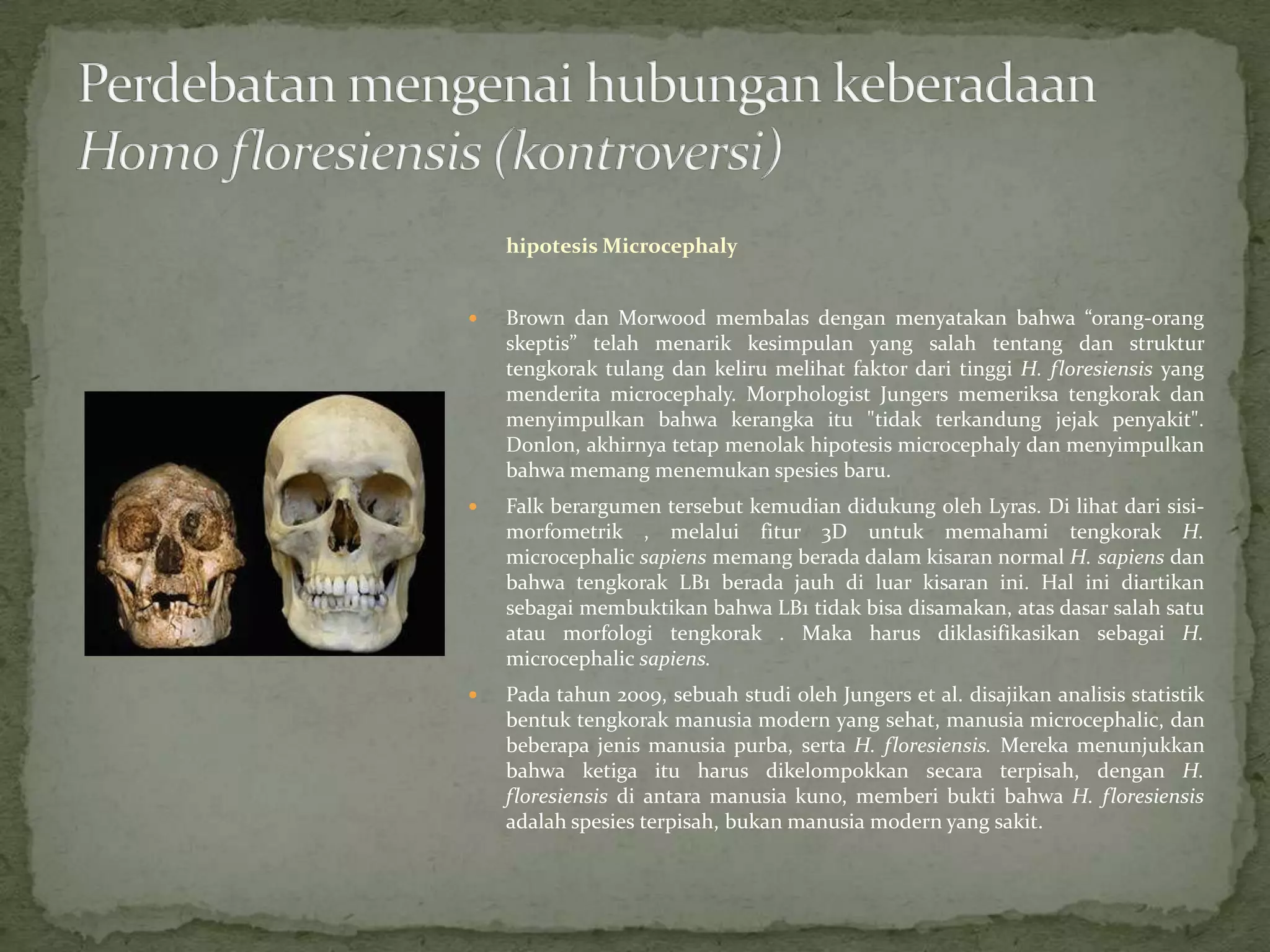 Homo Floresiensis (Bahan Ulangan Sejarah) | PPTX