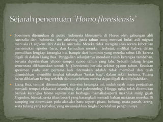 Homo Floresiensis (Bahan Ulangan Sejarah) | PPTX