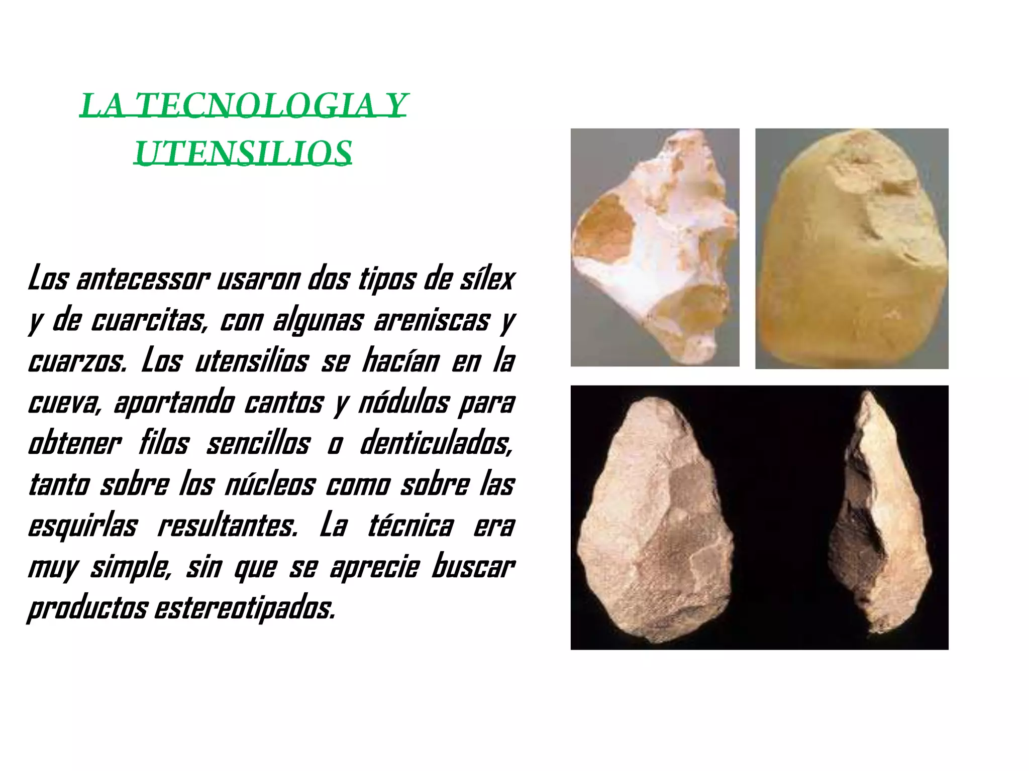 Homo antecessor | PPTX