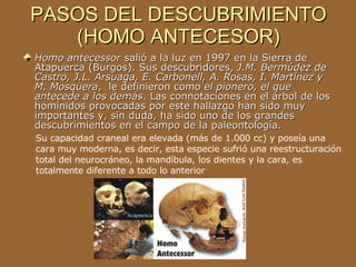 homo antecesor | PPT