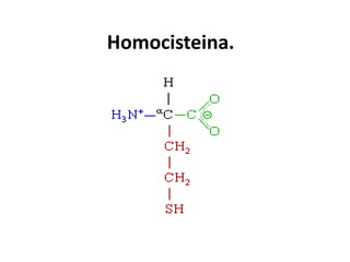 Homocisteína Y Cisteína