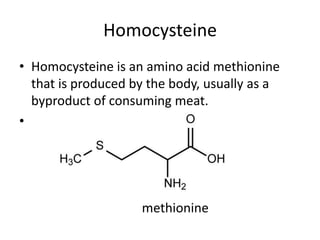 Homocyc | PPT