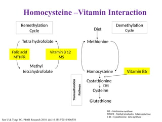 Hyperhomocysteinaemia in PCOS and Infertility | PPT