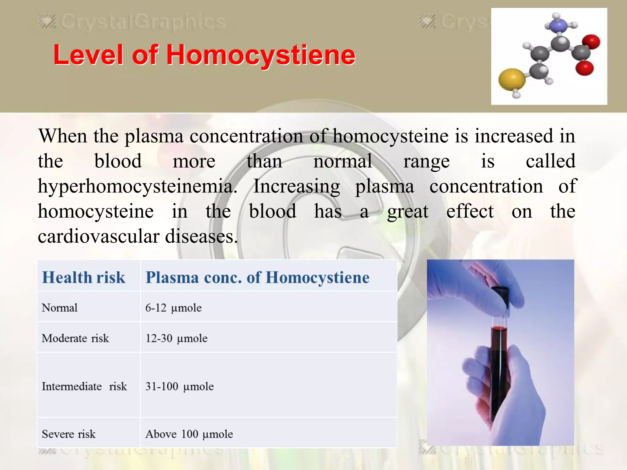 Homocysteine | ODP