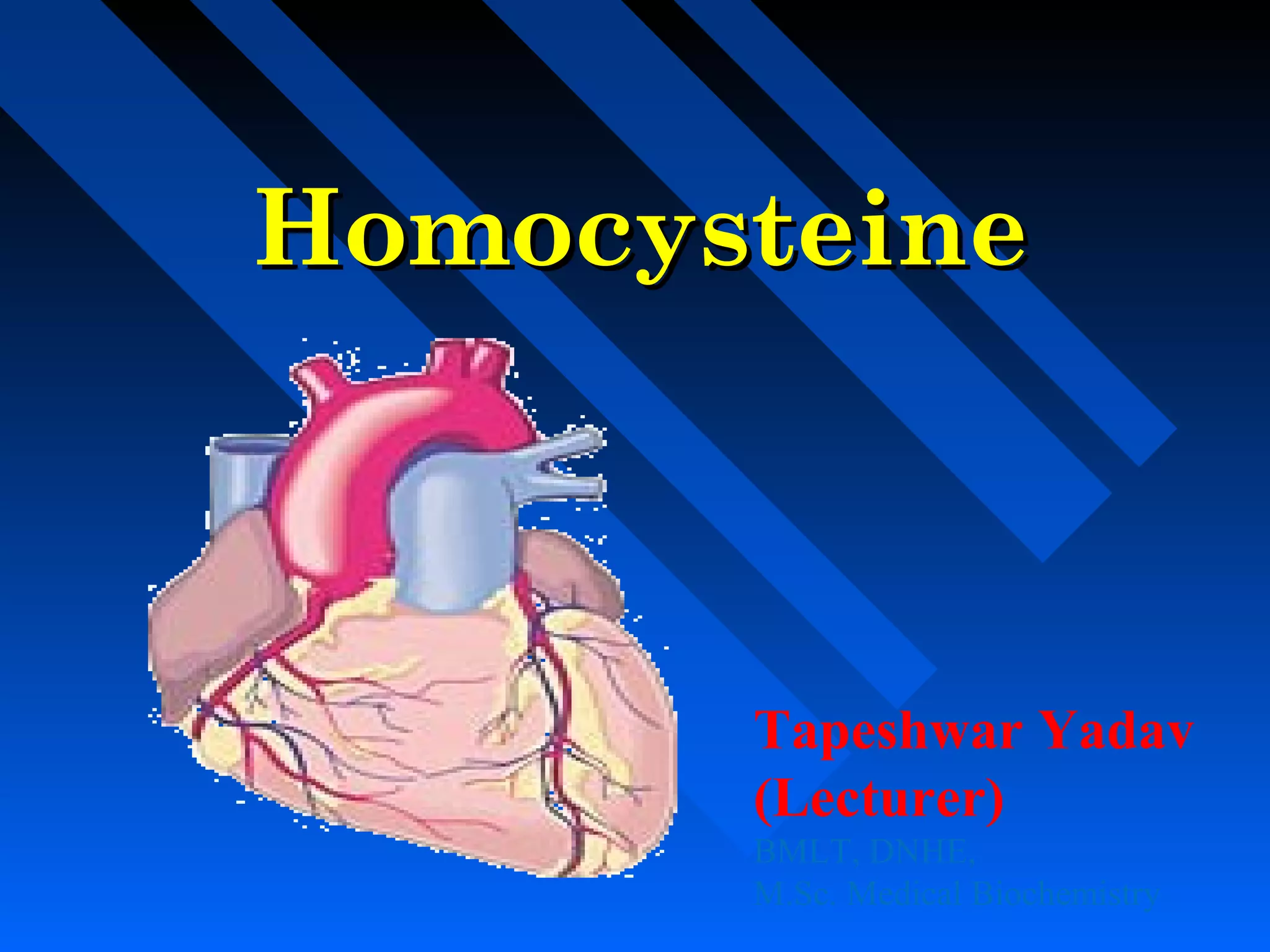 Homocysteine | PPT