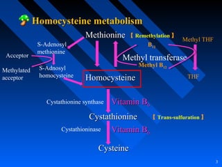 Homocysteine