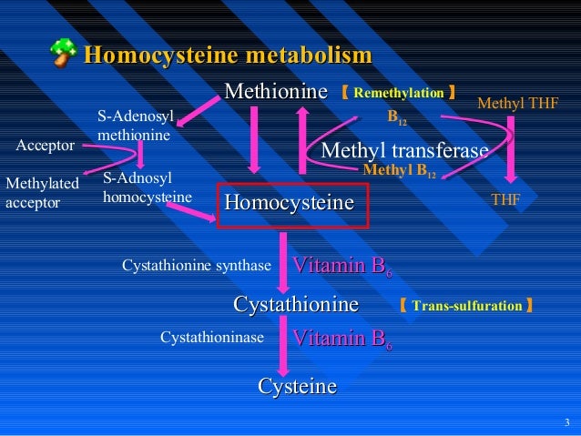 Homocysteine