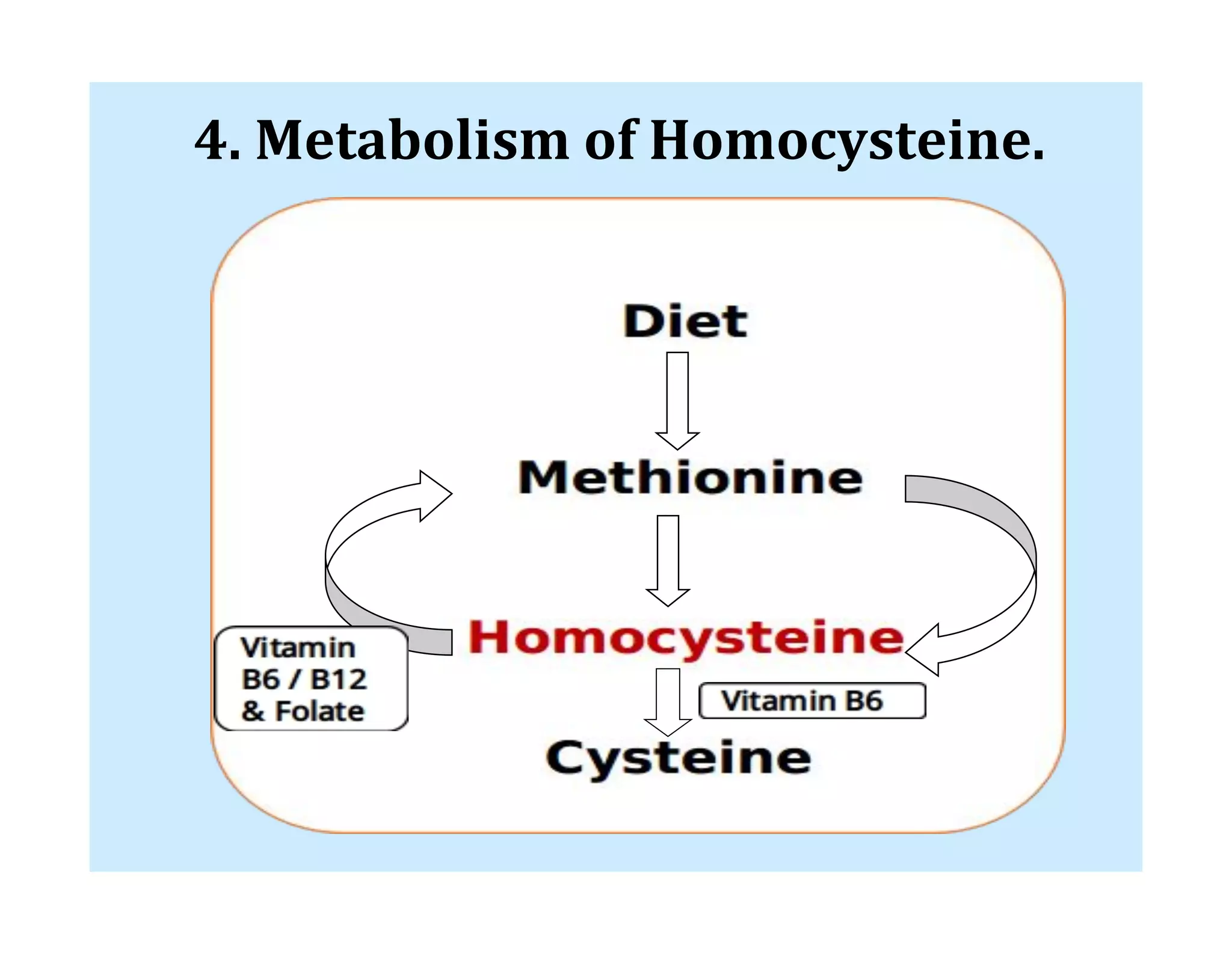 Homocysteine | PDF