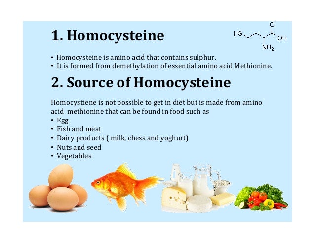 Homocysteine