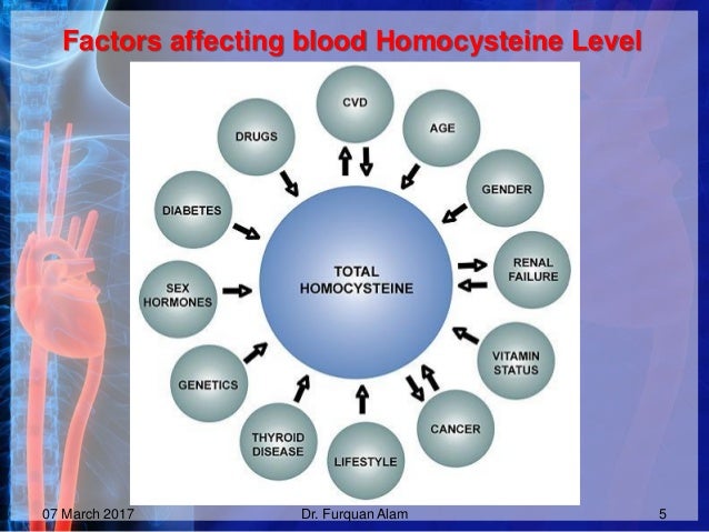 Homocysteine: An Overlooked Biomarker in Clinical Medicine