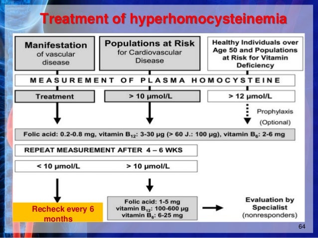 Homocysteine: An Overlooked Biomarker in Clinical Medicine