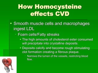 Homocysteine And Cardiovascular Disease | PPT