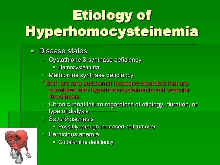 Homocysteine And Cardiovascular Disease