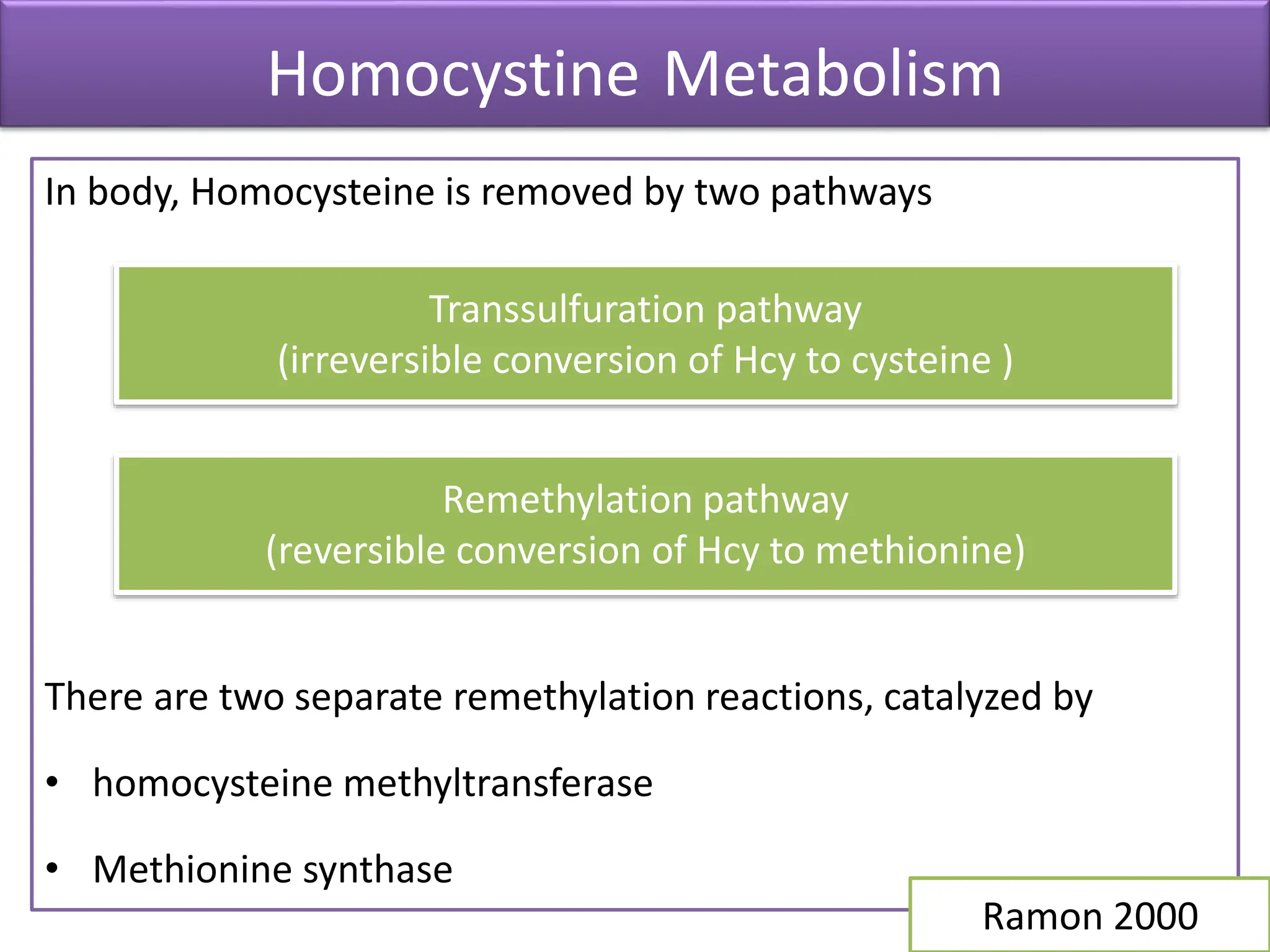 HOMOCYSTEINE AND RISK OF DEGENERATIVE DISEASES.pptx