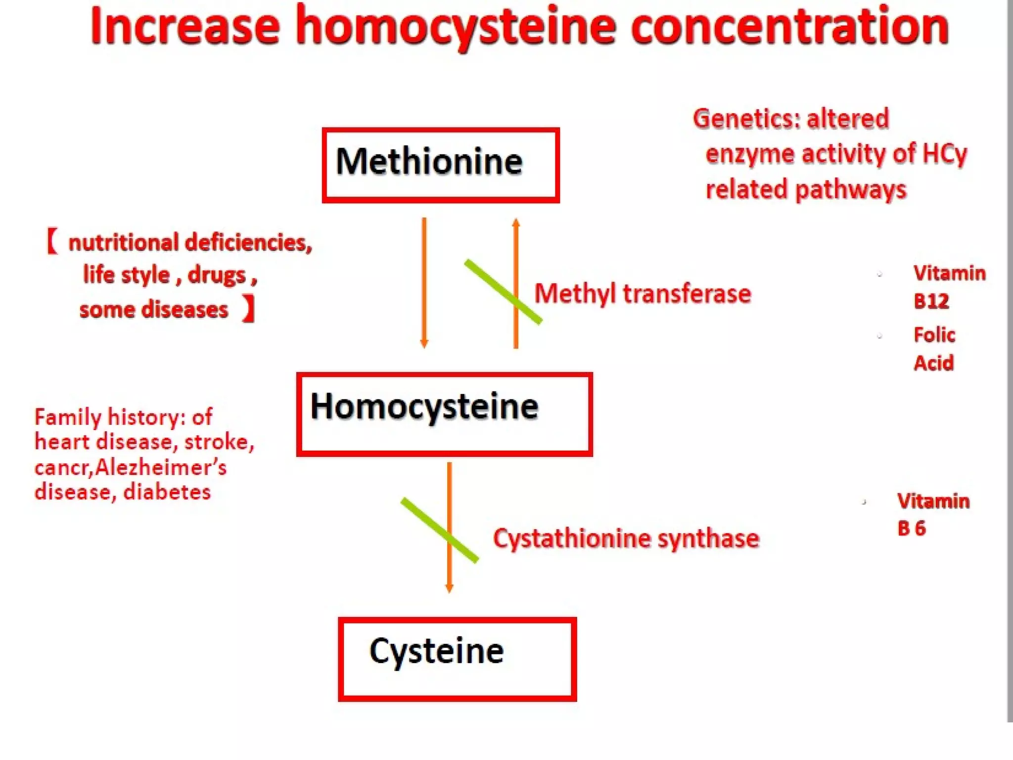 Homocysteine and related disorders | PPT