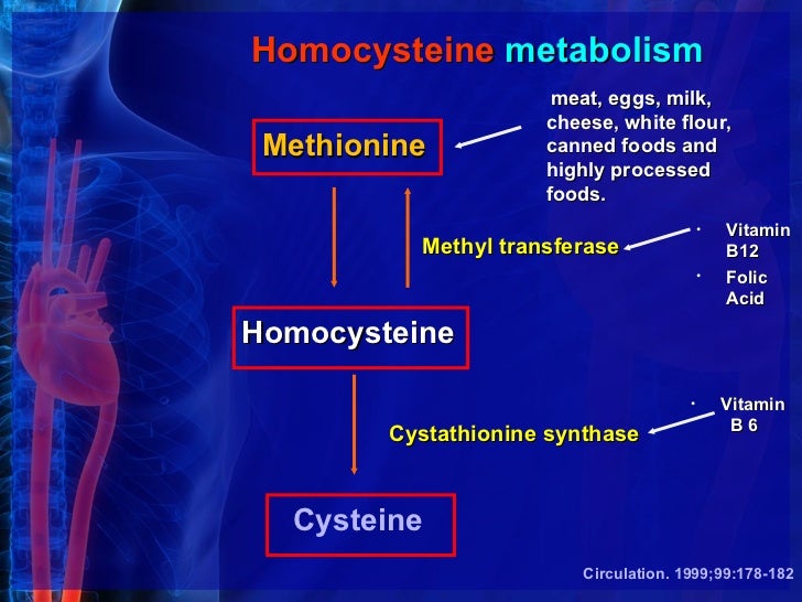 Homocysteine