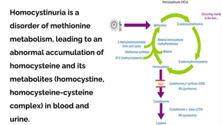 Homocystinuria | PPTX