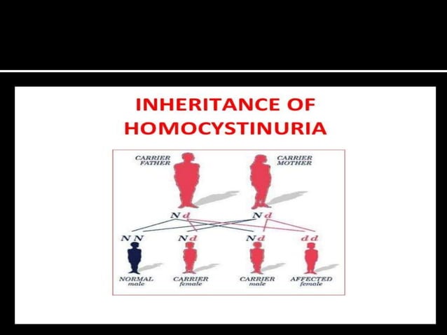 Homocystinuria copy | PPTX | Blood Disorders | Diseases and Conditions