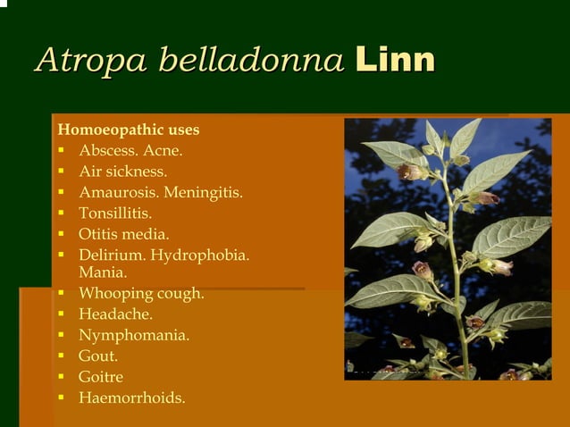 Homoeopathic medicinal plants with uses | PDF