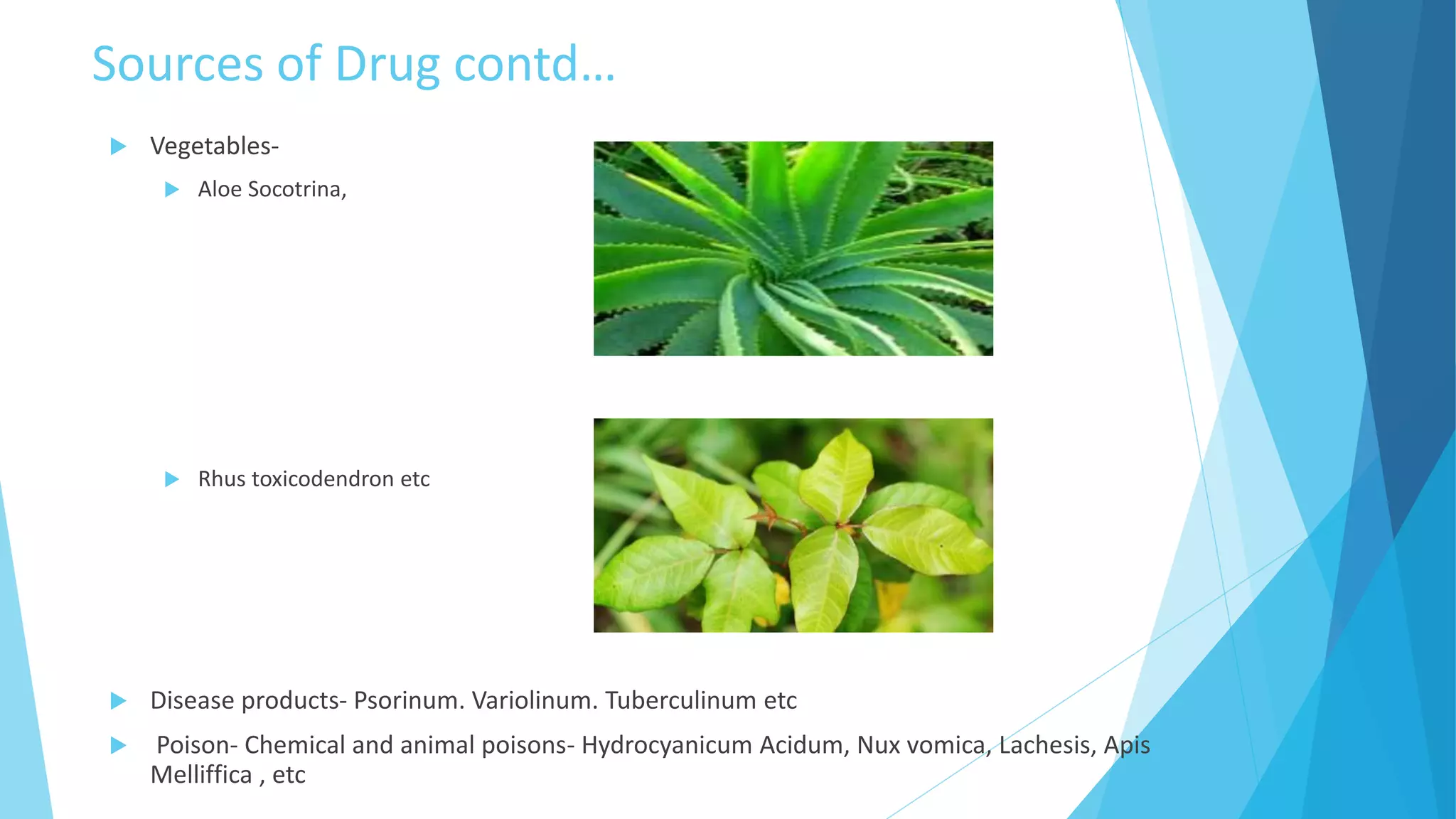 Homoeopathy- An Introduction.pptx