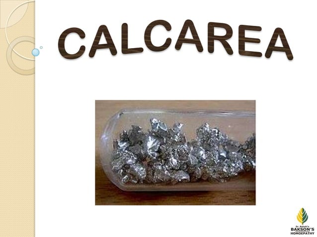 Homoeopathy- Calcarea Medicines | PPTX