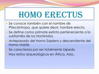 Homo erectus | PPTX