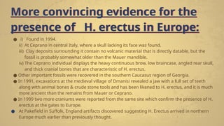 Homo Erectus Europe Detailed Anthropological summary | PPTX