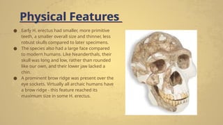 Homo Erectus Europe Detailed Anthropological summary | PPT