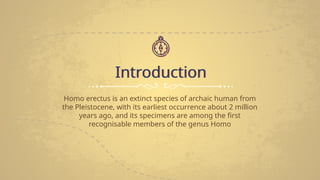 Homo Erectus Europe Detailed Anthropological summary | PPTX