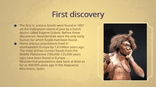 Homo Erectus Europe Detailed Anthropological summary | PPTX