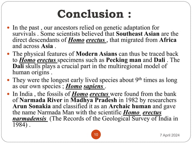 Homo erectus( the upright man), Manipur university | PPTX | Geology ...