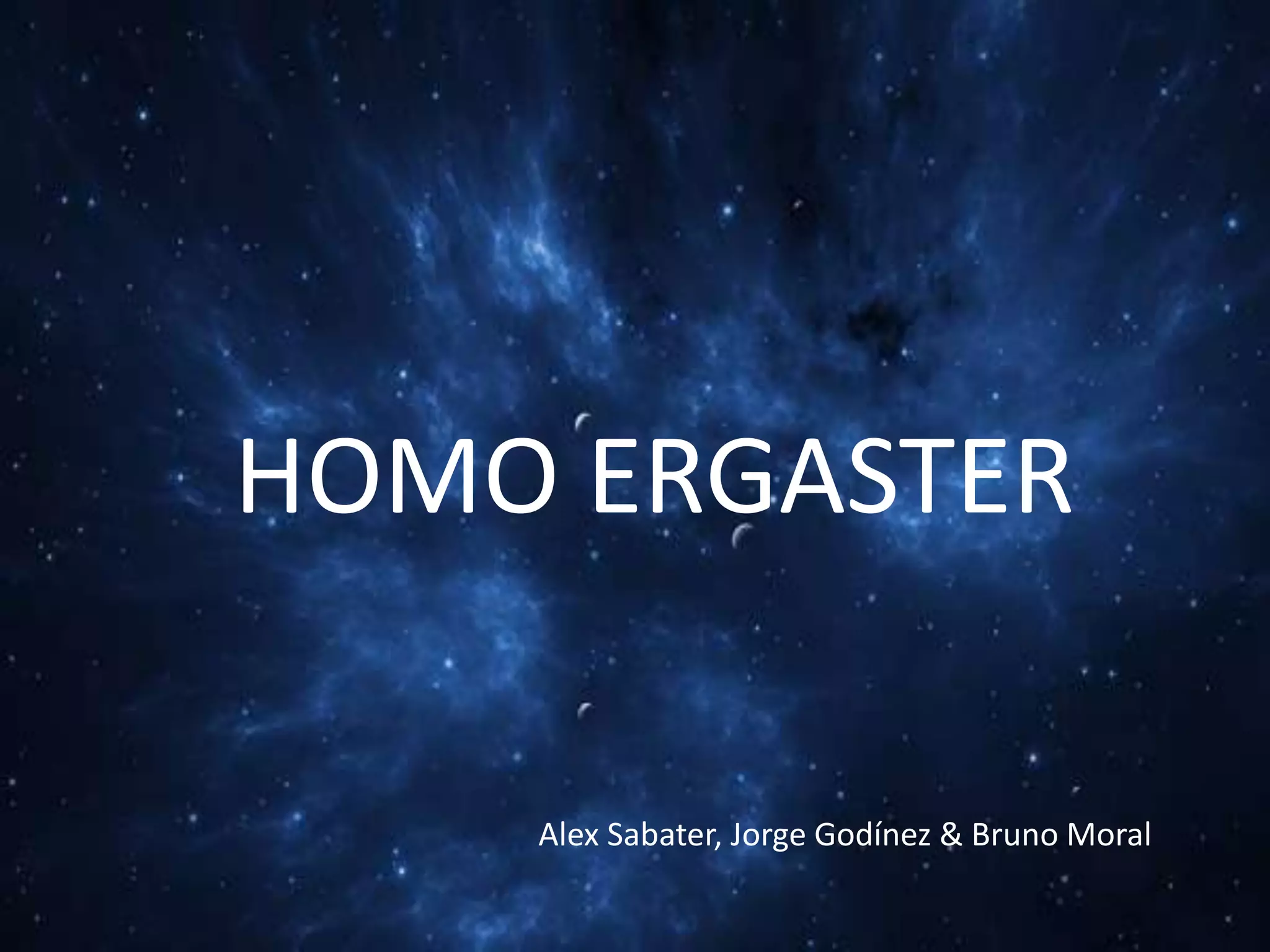 Homo ergaster | PPTX