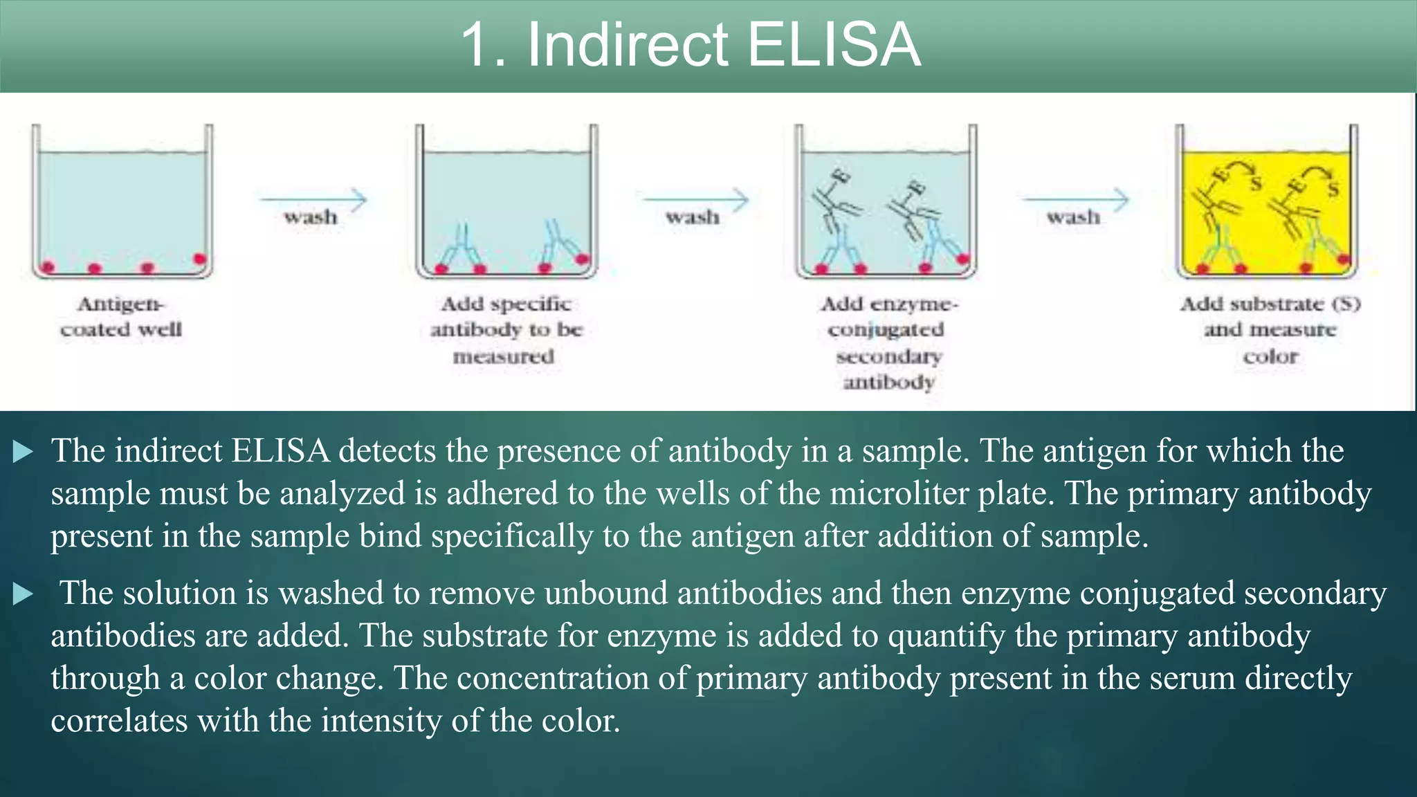 Homogeneous and heterogeneous immunoassay | PPTX