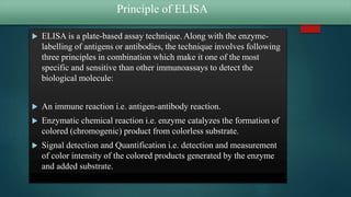 Homogeneous and heterogeneous immunoassay | PPTX