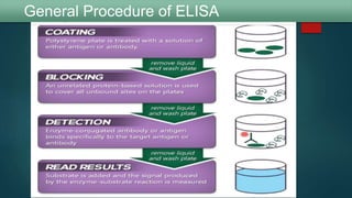 Homogeneous and heterogeneous immunoassay | PPTX