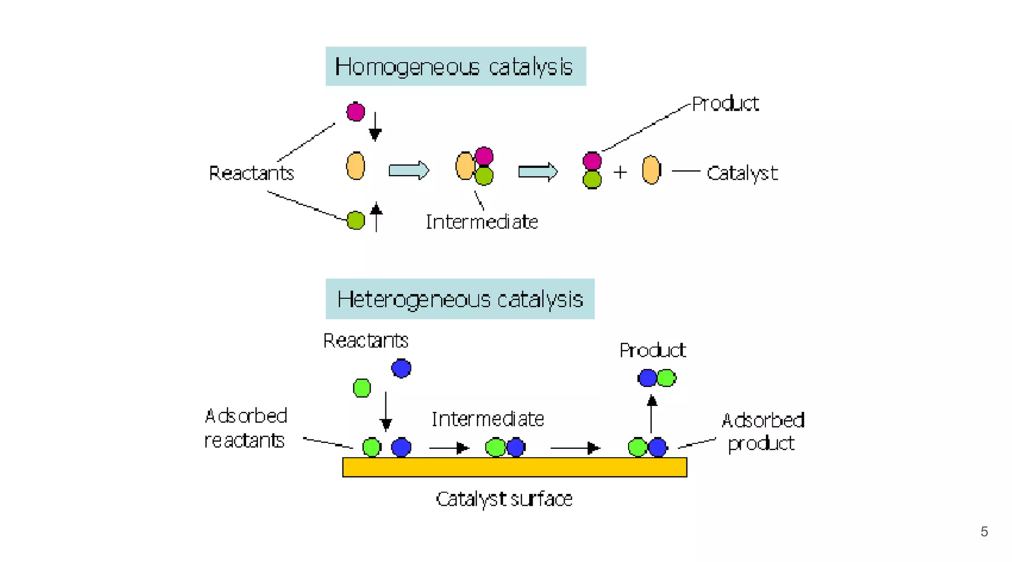Homogeneous Catalysis.pptx