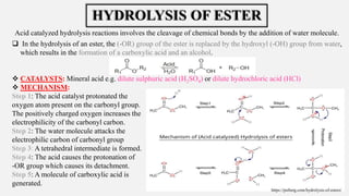 HOMOGENEOUS CATALYTC REACTIONS.pptx