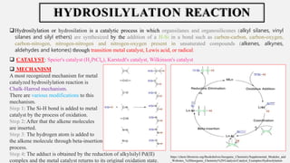 HOMOGENEOUS CATALYTC REACTIONS.pptx