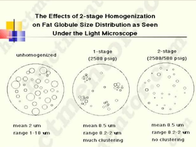 Homogenization | PPTX | Chemistry | Science