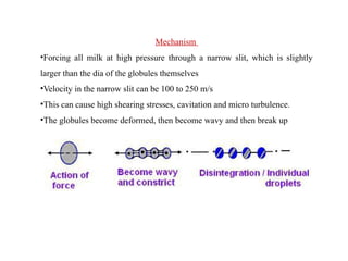 Homogenization in dairy and food engineering.pptx