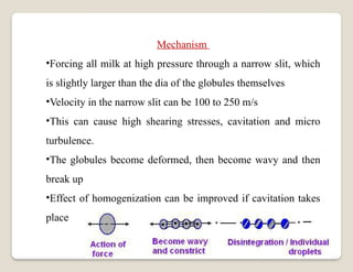 Homogenization.pptx_Surya [Autosaved].pptx